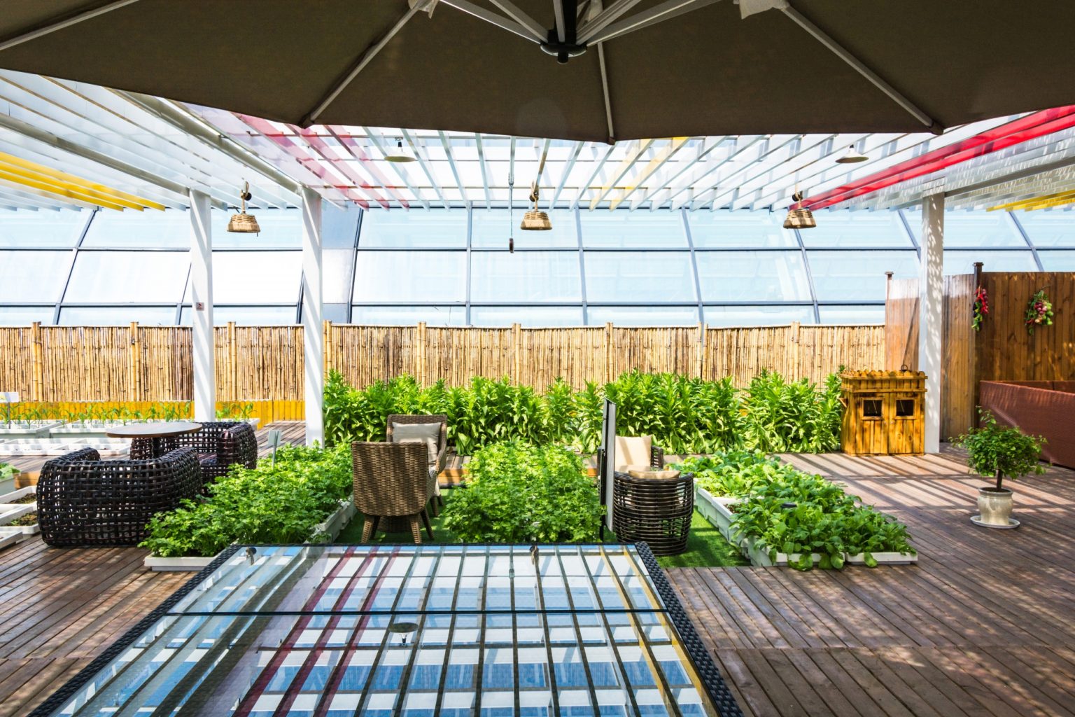 Best Custom Deck & Pergola Designs for Your Backyard 2026
